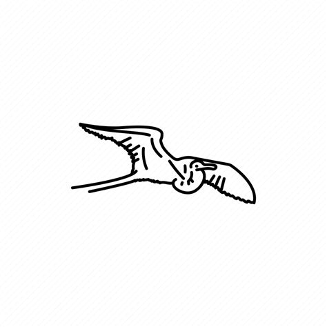 Frigatebird Bird Icon Download On Iconfinder