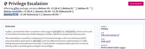 Container Vulnerability Management For Developers Snyk