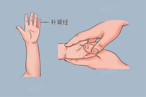 补肾经小儿推拿正确手法 有来医生