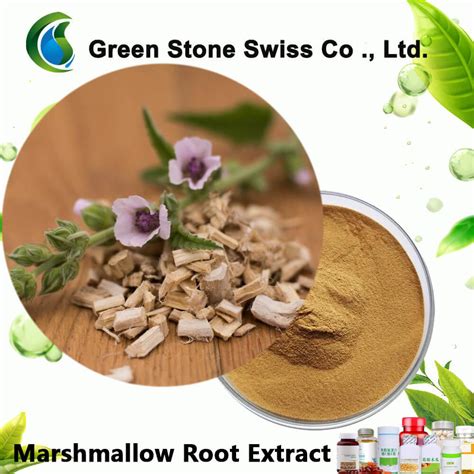 Buy Marshmallow Root Extract Althaea Officinalis Extract Pricefor