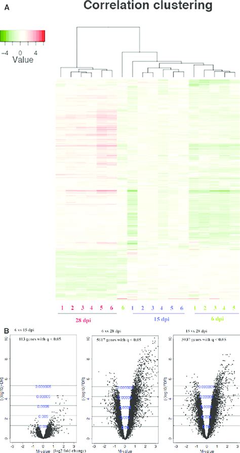 heat map and volcano plots of complementary dna cdna microarray