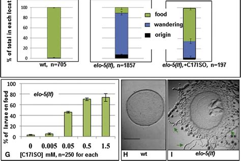 Research Labs Molecular Cellular And Developmental Biology
