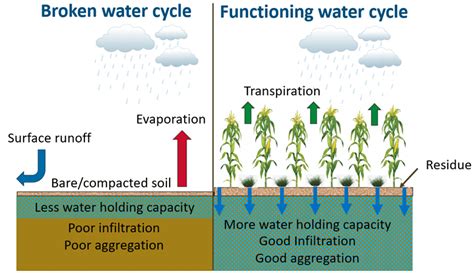 Addressing Compaction During The Regenerative Transition Part 2