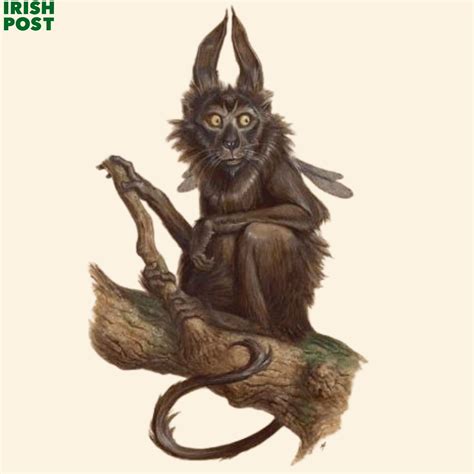 Local Legends Understanding Dublins Most Famous Folklore