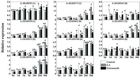 Relative Expression Of Litchi Mads Box Genes Involved In The Abcde Download Scientific Diagram