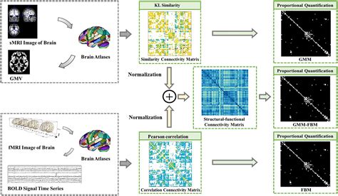 Frontiers Discriminative Analysis Of Schizophrenia Patients Using