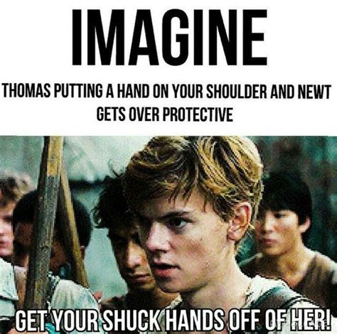 Pin By Damrin 17 On Imaginations TMR TBS Maze Runner Trilogy Maze Runner Funny Maze Runner