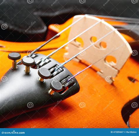 Violin Stock Image Image Of Detail Vivid Precision 47309447