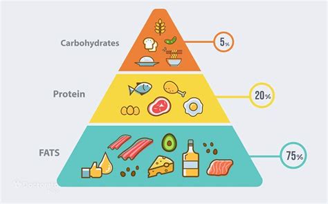 هرم غذایی رژیم کتوژنیک شامل چه مواد غذایی می شود؟