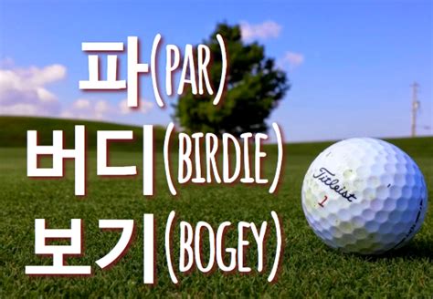 골프 스코어 점수 계산하는 방법 타수 기초 용어 골프룰 정리 네이버 블로그