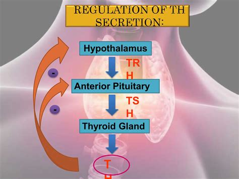 Thyroid Presentationpptx