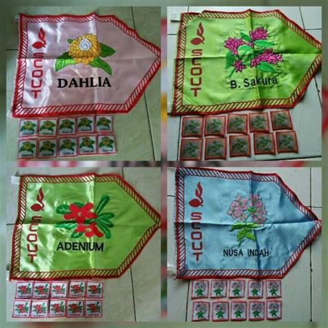 Gambar Bunga Aster Pramuka 58 Koleksi Gambar