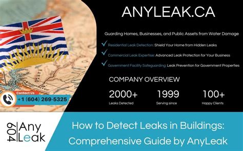 How To Detect Leaks In Buildings Water Leak Detection And Repair Solutions Anyleakca