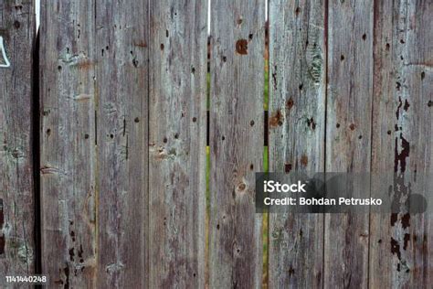 거친 회색 판자 수직으로 나무 울타리 금이 손톱과 스크래치와 함께 부착 수평 오래 된 나무 질감 0명에 대한 스톡 사진 및 기타 이미지 Istock