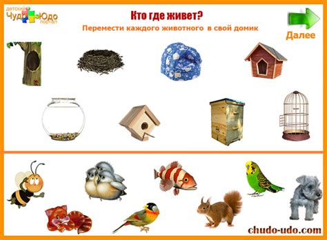 Картинка Кто Где Живет - 54 фото
