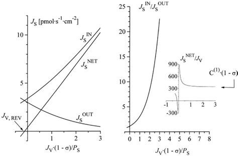 The Major Fraction Of Solute Entering Inner Compartment Has Passed The