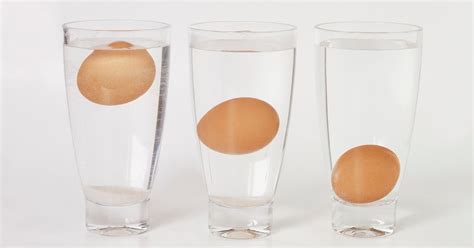 შევამოწმოთ ახალია თუ არა კვერცხი რჩევები ვივიენისგან