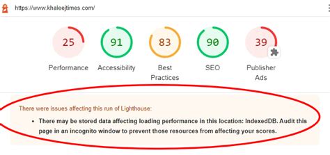 Lighthouse Viewer Error Flow Could Be Better · Issue 14494