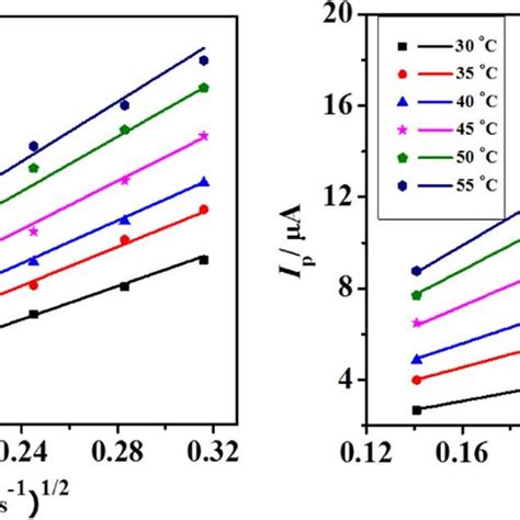 Plot Of I P μa Vs Square Root Of Scan Rate Vs 12 At Ph 74 At