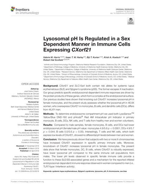 Pdf Lysosomal Ph Is Regulated In A Sex Dependent Manner In Immune Cells Expressing Cxorf21