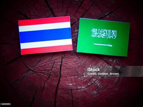 고립 된 나무 등 걸에 사우디 아라비아 국기와 함께 태국 국기 0명에 대한 스톡 사진 및 기타 이미지 0명 Friendly