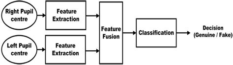 Proposed Liveness Detection Scheme Using Feature Fusion Download Scientific Diagram