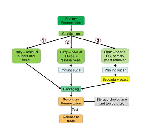 Fermentation Flow Chart Ethanol Fermentation Wikipedia