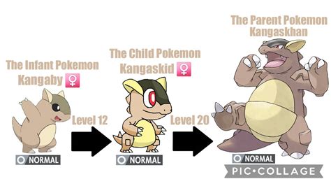 The Kangaskhan Evolution Line By Darcy2004 On Deviantart