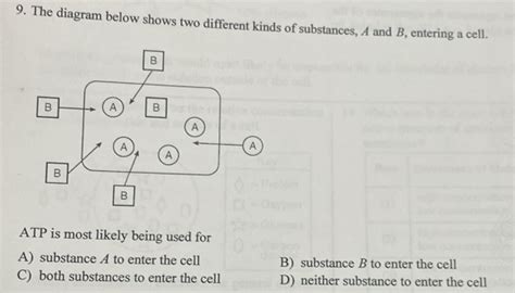 Solved The Diagram Below Shows Two Different Kinds Of Substances A