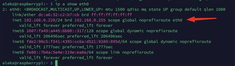 Configurer Une Adresse Ip Statique Sur Raspberry Pi Nmcli Oleks It Blog