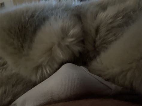 Handsfree Premature Tighty Whities Thisvid Com Em Ingl S