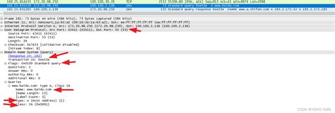 wireshark抓包之dns协议 wireshark分析dns csdn博客