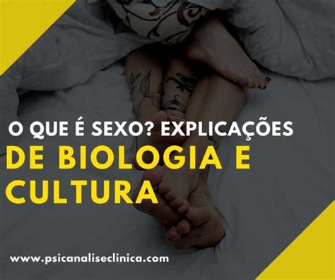 O Que Sexo Explica Es De Biologia E Cultura Psican Lise Cl Nica
