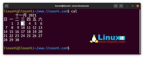 12 个在终端运行的有趣的 Linux 命令