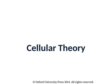 Wireless Mobile Communication Fundamentals Pptx