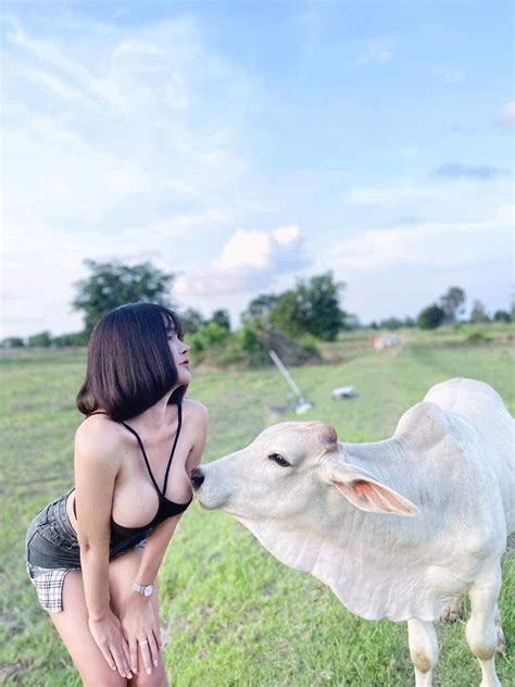 តោះ ទៅឃ្វាលគោ Agri Modern Update Facebook