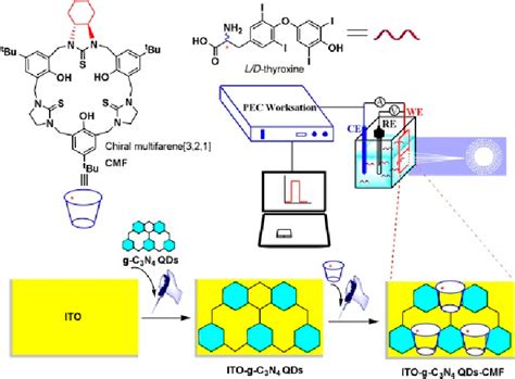 Schematic Diagram Of Pec Chiral Sensor Construction And Recognition Of