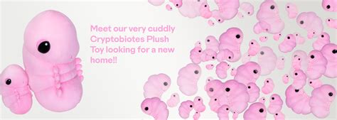 Kojima Productions Kojima Productions Store