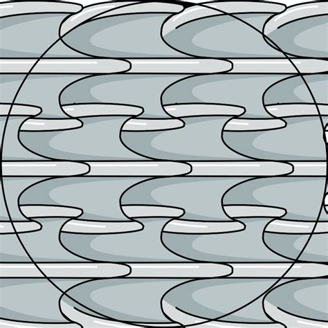 Placoid Scale Pattern Zoom Figure Science Figures