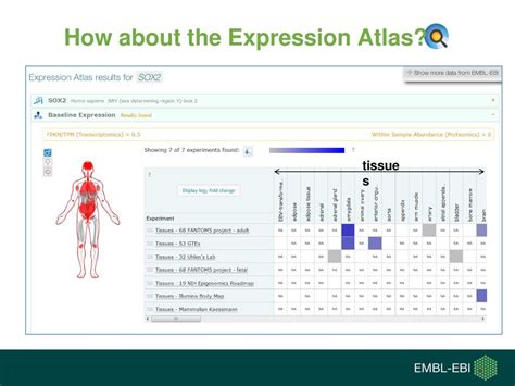 Functional Genomics Data And Expression Look Up Tools Arrayexpress And Expression Atlas Amy