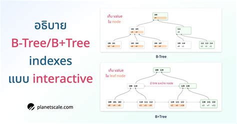 😍 เป็นบทความอธิบาย เรื่อง Database Code Dai โค้ดได้