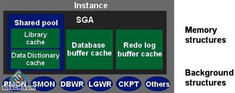 Oracle体系结构:内存结构和进程结构 体系架构 Oracle体系结构:内存结构和进程结构 体系架构