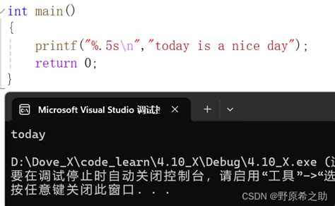 printf（）函数的概念和占位符的用法 printf占位符 csdn博客