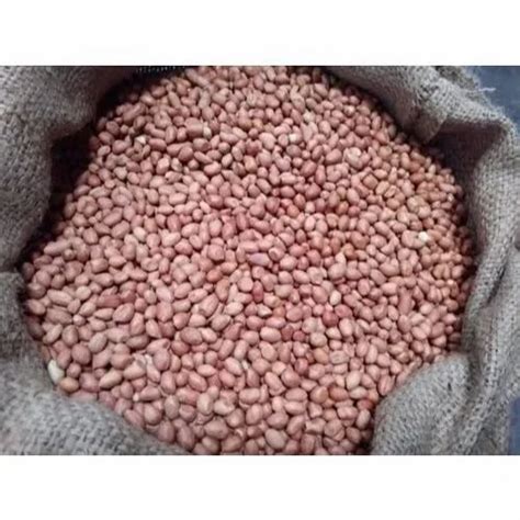 Peanuts Javaboldtj Supplier Packaging Size 5 Kg To 50 Kgjute And Pp Bags At ₹ 155kg In New