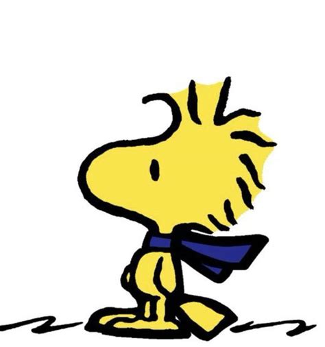 Snoopy Cartoon Drawing With Scarf Snoopy Wallpaper