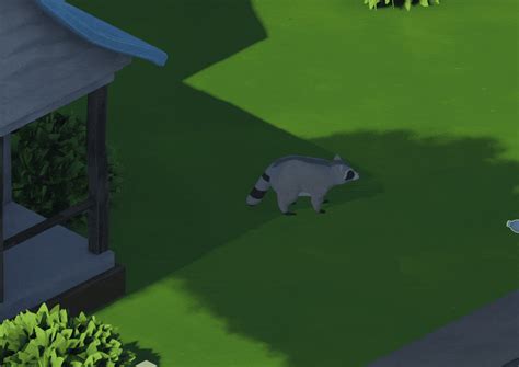 What Is Not So Trash Panda Not So Trash Panda By Dylon999