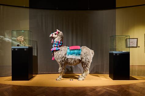 Josh Gluckstein Museum Feature