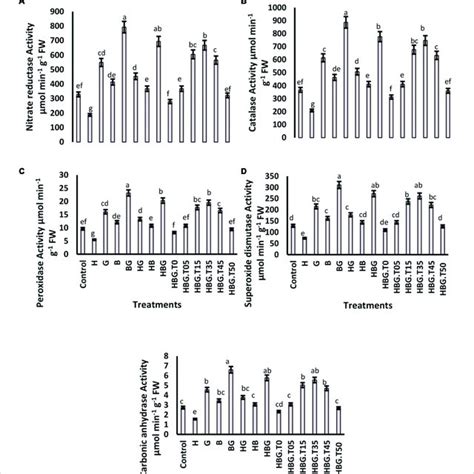 Nanotoxicity Assessment Of Bioclay Nanoparticles Alone And In Download Scientific Diagram