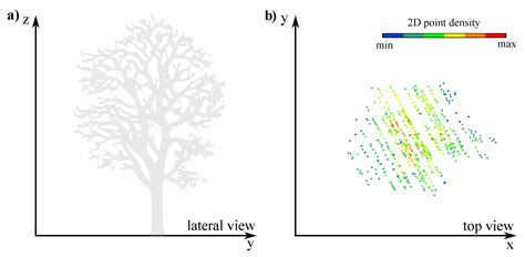 a density based algorithm for the detection of individual trees from