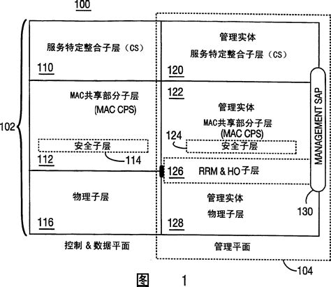 Wireless Metropolitan Area Network Architecture For Managing Network Resources And Mobility
